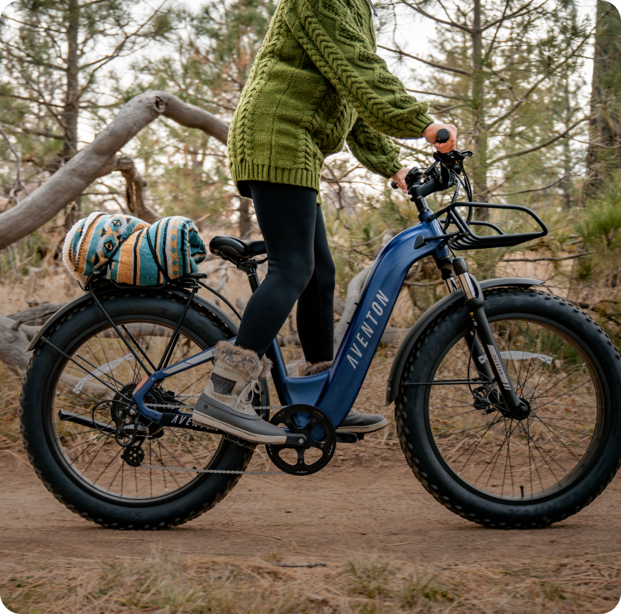 Rentals – The Hub Bicycles