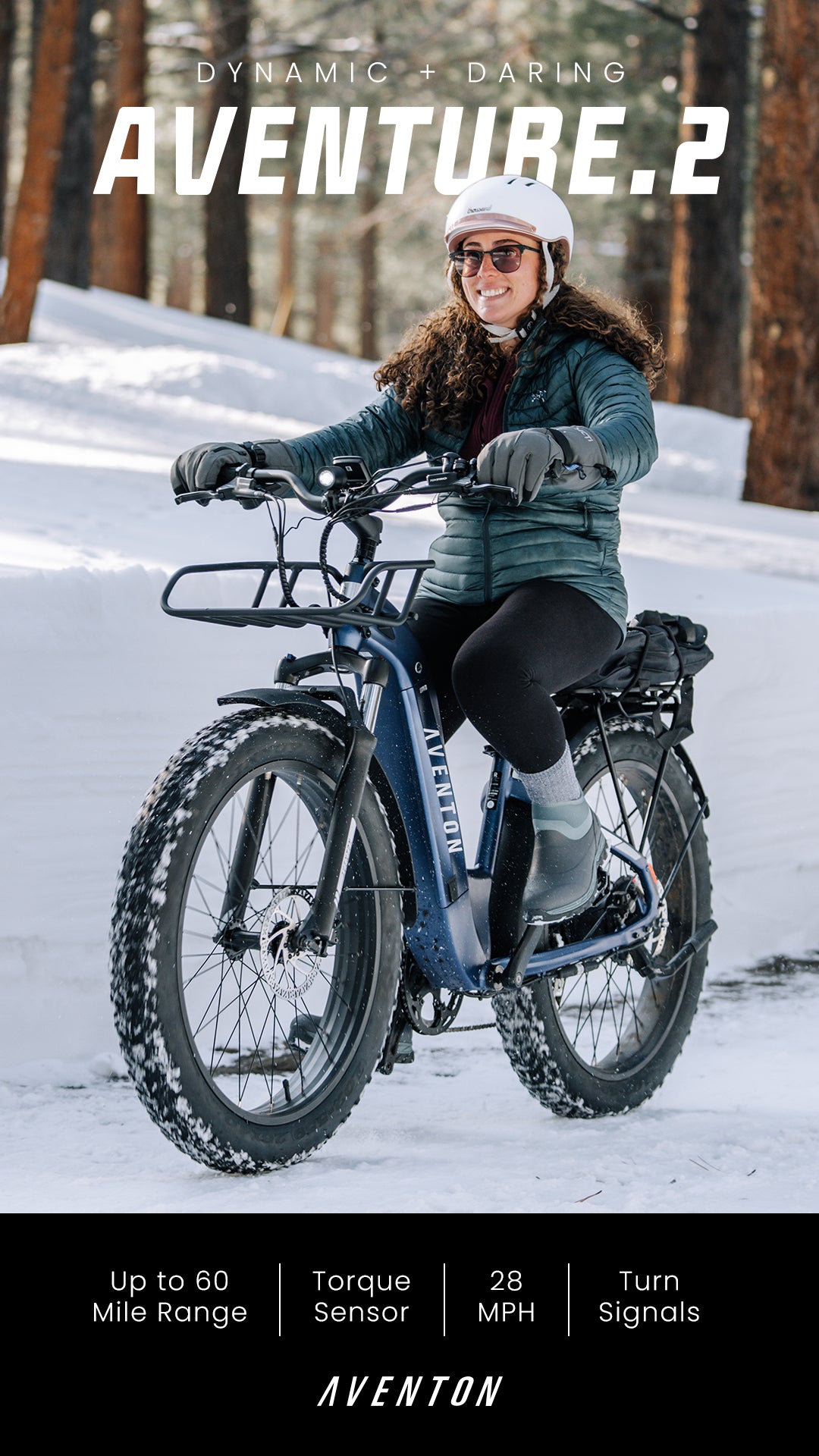 AVENTON Aventure.2 Fat Tire E-Bike – The Hub Bicycles